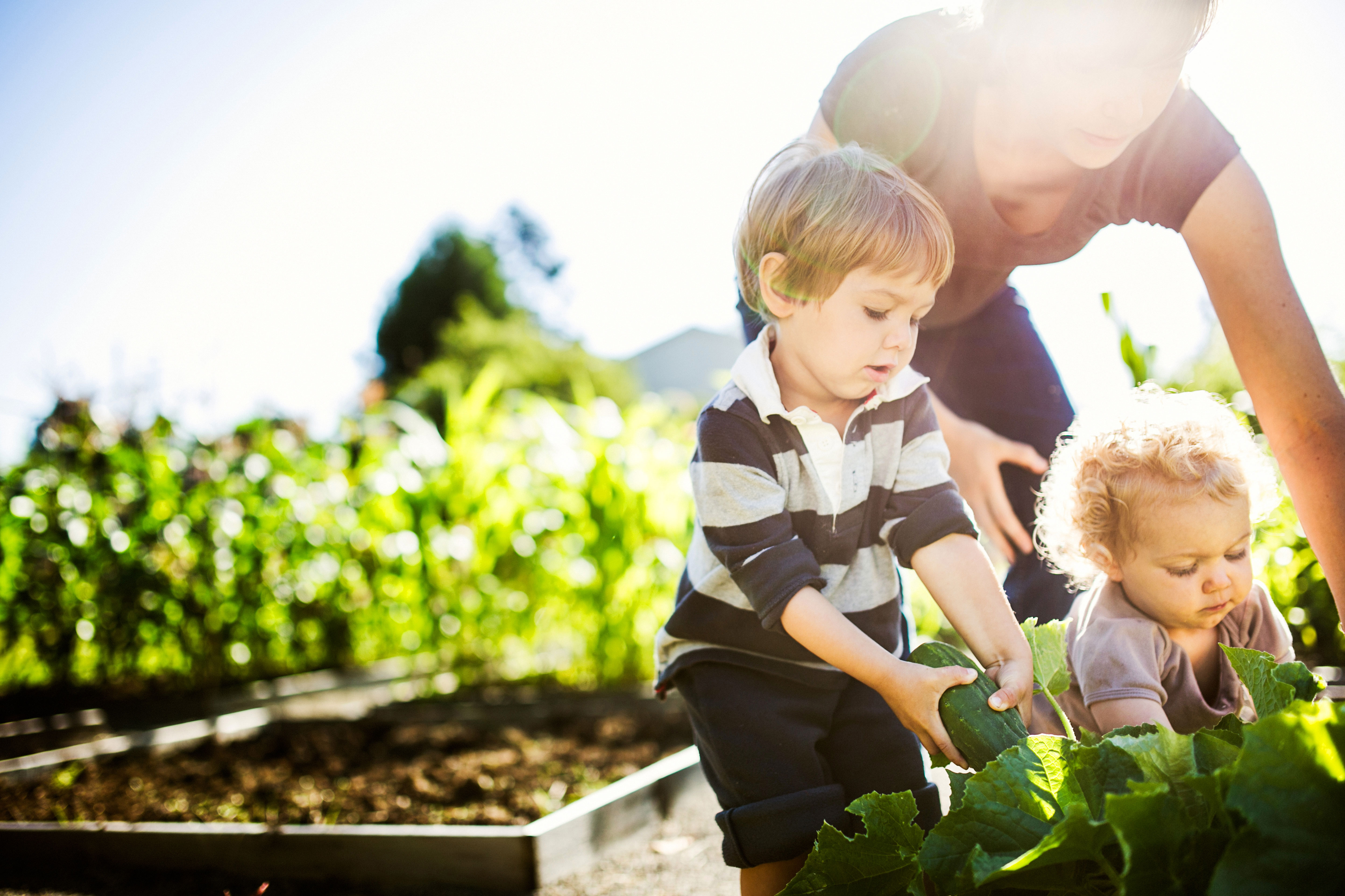 Easy Ways to Celebrate Earth Day - FamilyEducation