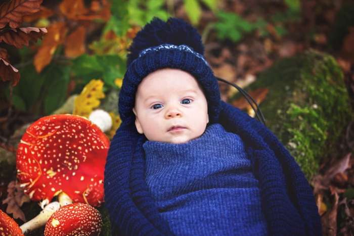30 Enchanting Mushroom-Inspired Names for Boys and Girls - FamilyEducation