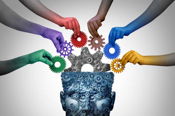 Best Brain Training for Families: Top Activities for the Kids ...