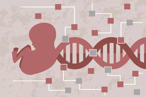 What Does it Mean to Have "Strong Genes"? - FamilyEducation