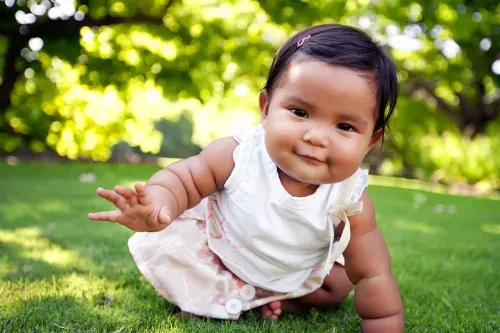 75 Tree Names (& Meanings) to Inspire Your Baby Name Search ...
