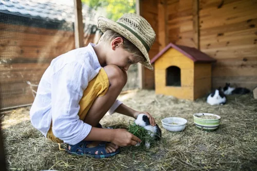Buying a Rabbit for Kids: A Guide to Rabbits as Pets - FamilyEducation