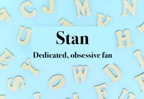 Gen Z Slang: Stan Meaning - FamilyEducation